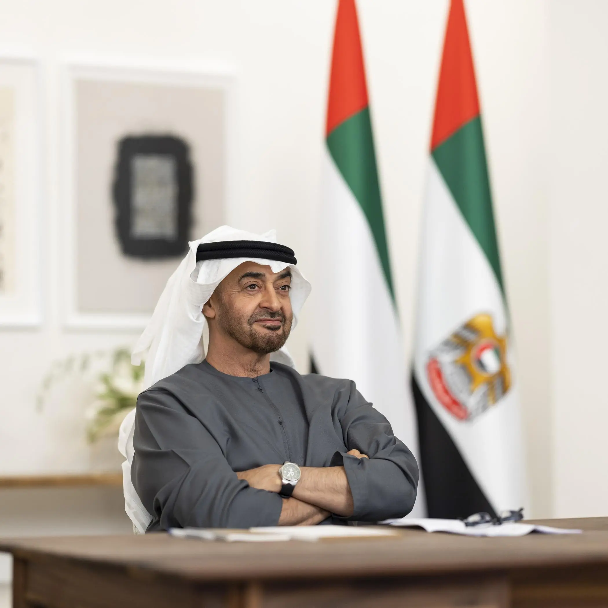 Vision of Progress: Sheikh Mohamed bin Zayed Al Nahyan